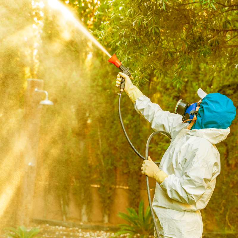 Sanificazione, disinfestazione e pest control